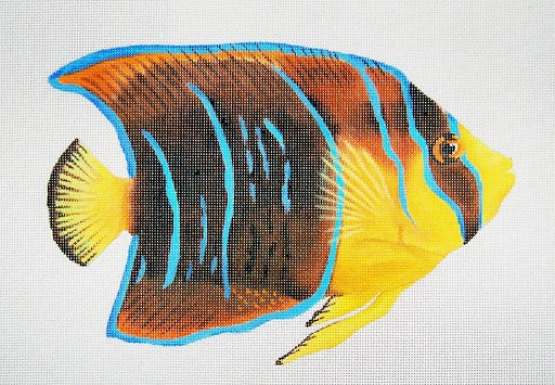 Giant King Angelfish– Stitch Therapy Needleworks