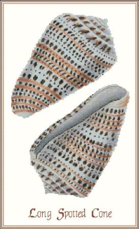 Shell Long Spotted Cone– Stitch Therapy Needleworks