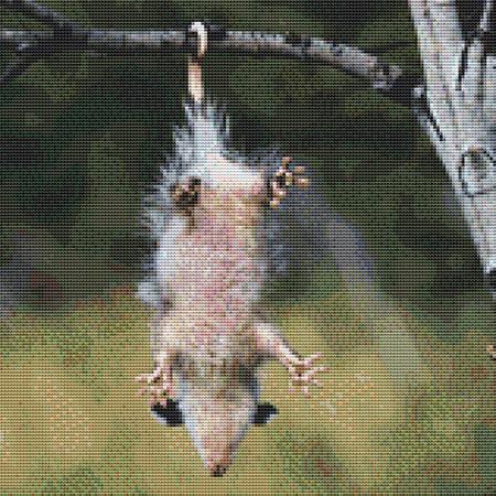 Dangling Opossum– Stitch Therapy Needleworks