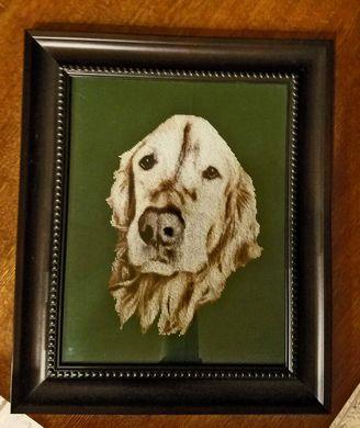 Jake - Golden Retriever– Stitch Therapy Needleworks